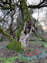 Communities Magazine - Follow the Communities Movement