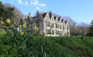 Communities with Openings Archives - Foundation for Intentional Community