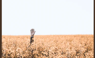 Community Classifieds - Foundation for Intentional Community