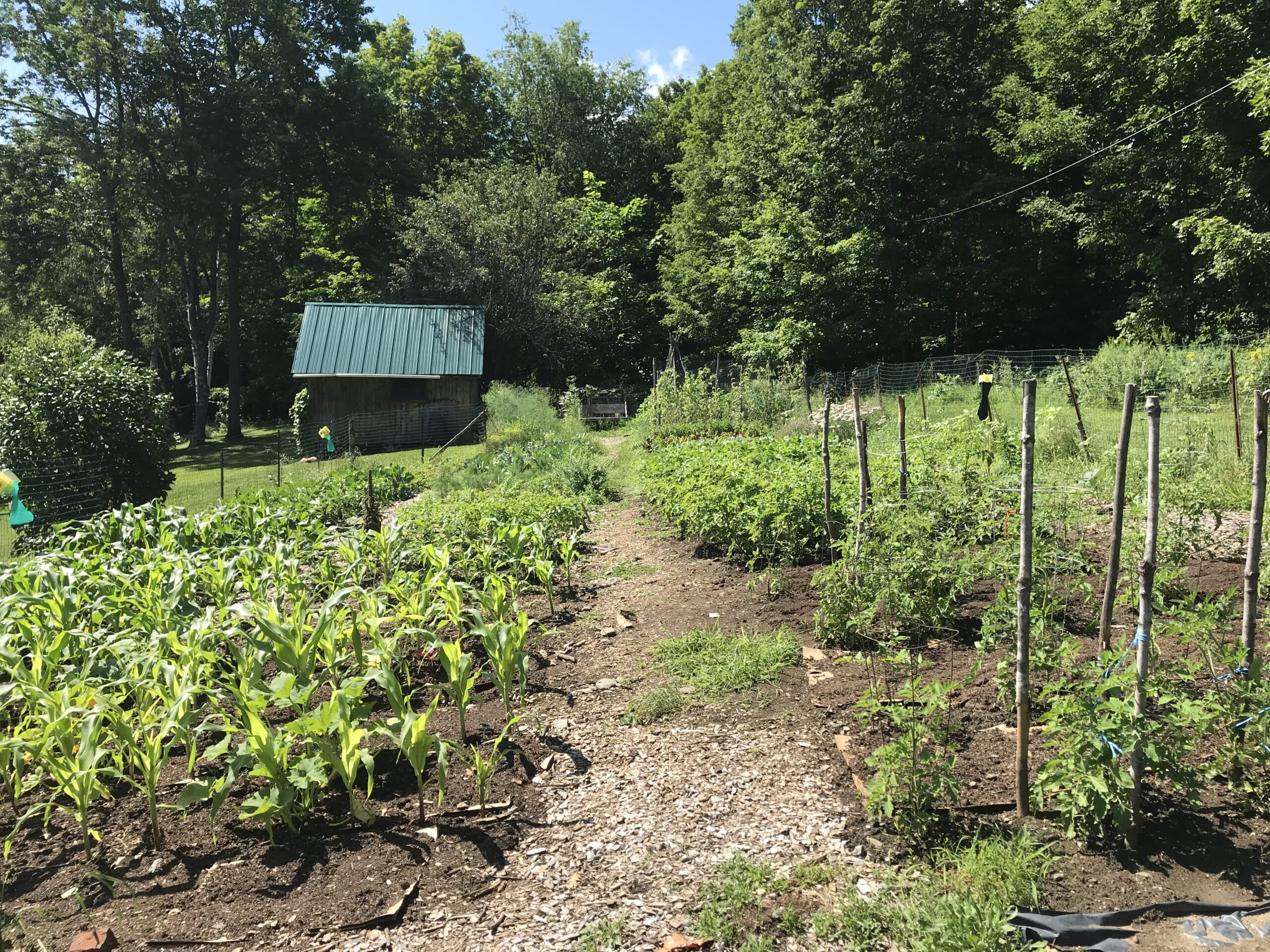 Community Classifieds - Foundation for Intentional Community