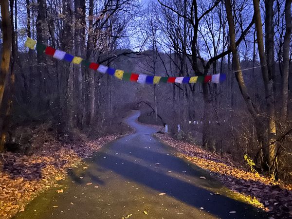 The Heart Center Sanctuary - Foundation for Intentional Community